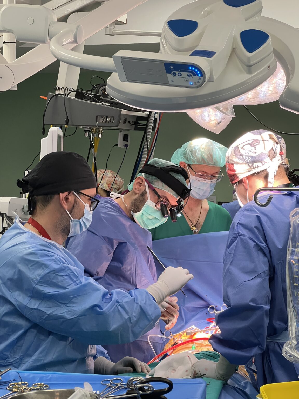 Rabdomioma cardiaco tratado quirúrgicamente con un modelo 3D - Cella ...